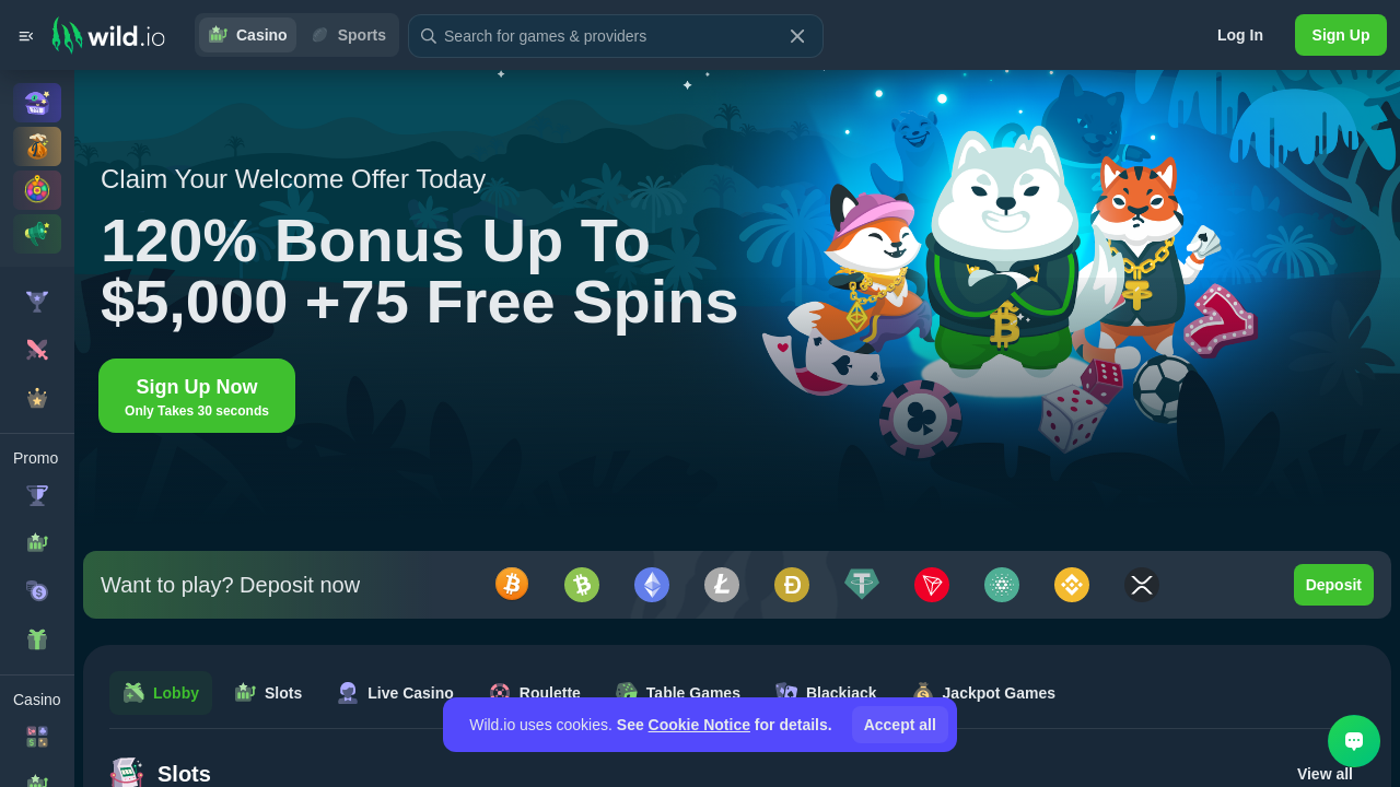 Wild.io Casino review ️ Safe & Secure? 05/2024